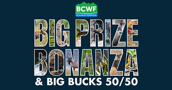 Order tickets for the Big Prize Bonanza & Big Bucks 50/50 | Raffle Nexus